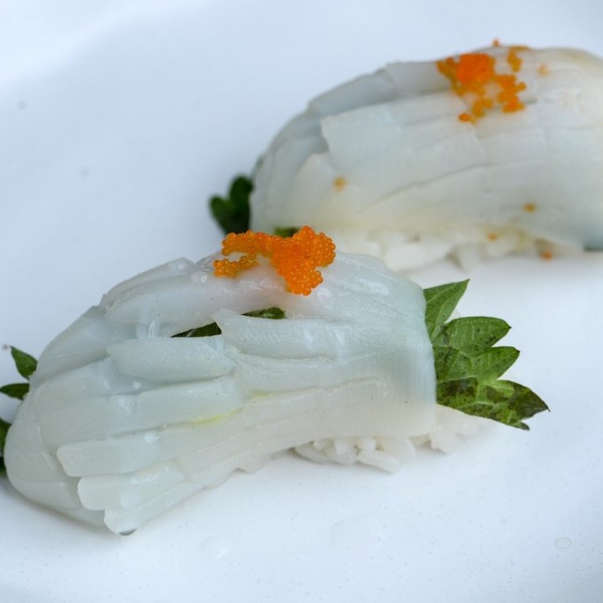 halibut sushi